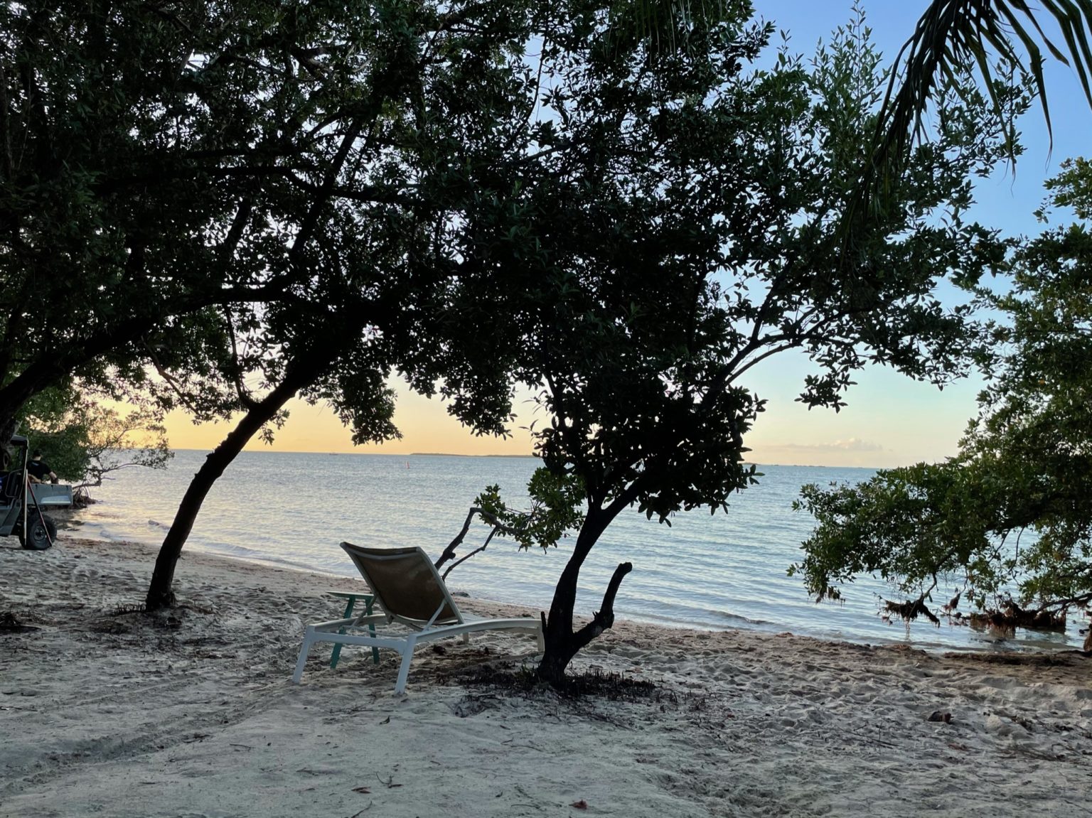 Best Camping Spots in the Florida Keys for a Road Trip