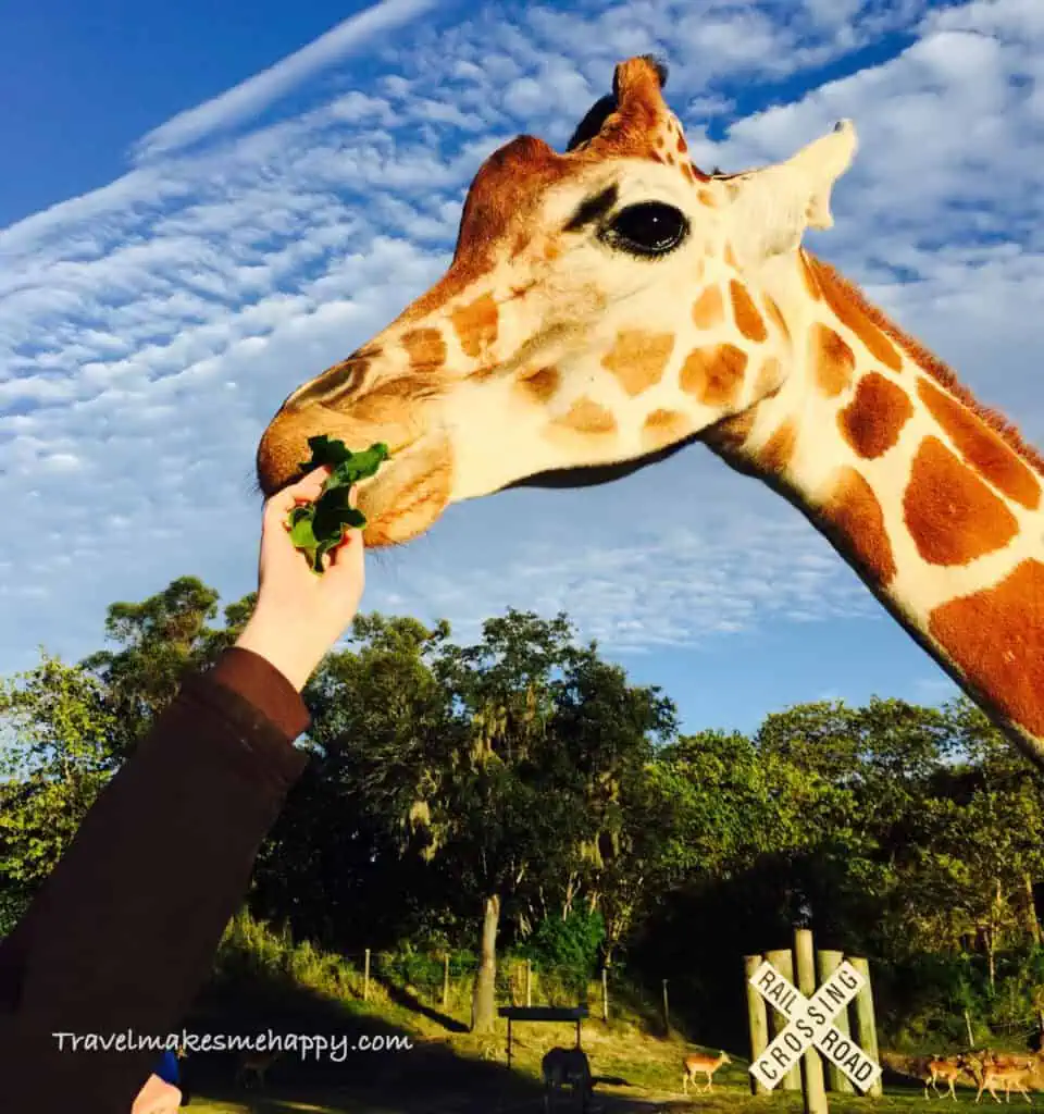 Best Spring Break Vacation Ideas for a Less Crowded Trip